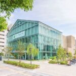 Osaka Sakai Tea Ceremony Rikyu Plaza and House Ruins - A Closer Look at the Tour Experience