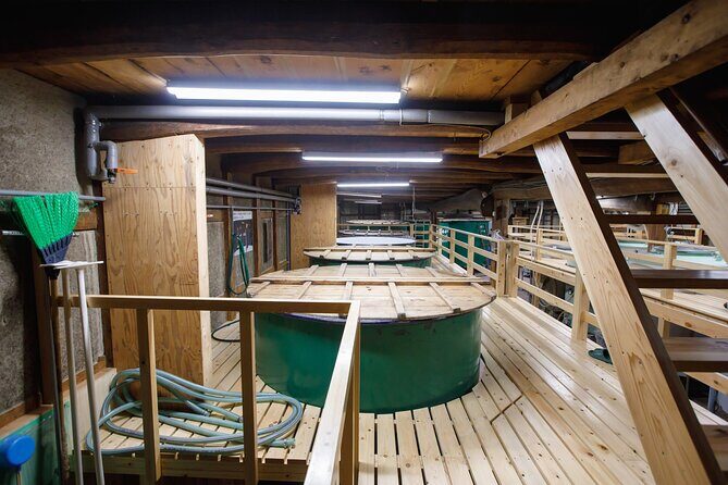 Osaka Sake Brewery Tour and Tasting - The Value for the Curious Traveler