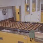 Osaka South Day Trip: History, Seafood, Shopping & Sweets - Practical Details and Traveler Tips