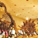 Osaka Subway and Attractions Pass - A Deep Dive into What You Get