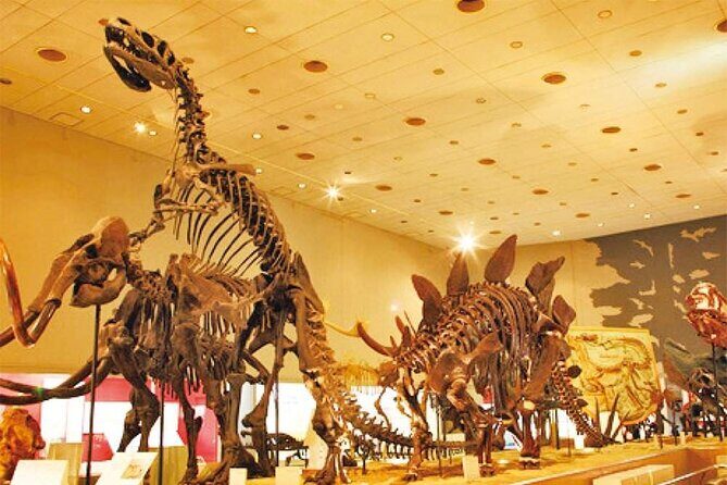 Osaka Subway and Attractions Pass - A Deep Dive into What You Get