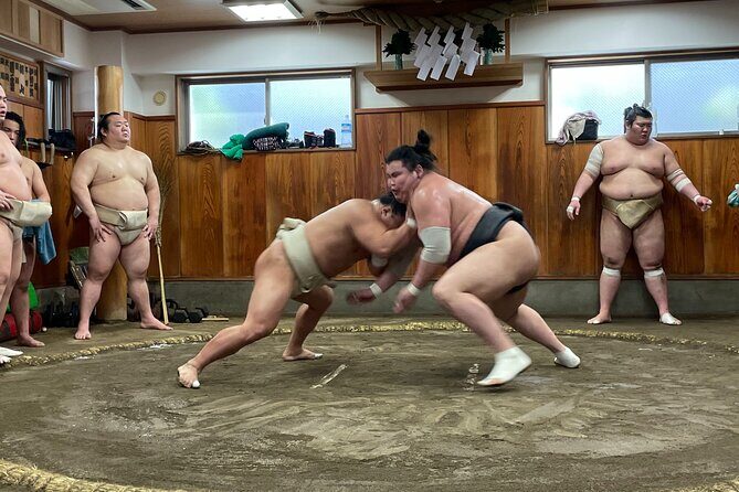 Osaka Sumo Morning Practice Watching Experience - The Itinerary: What You’ll See and Do