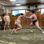 Osaka: Sumo Wrestling Real Practice Viewing Guided Tour - Detailed Breakdown of the Tour