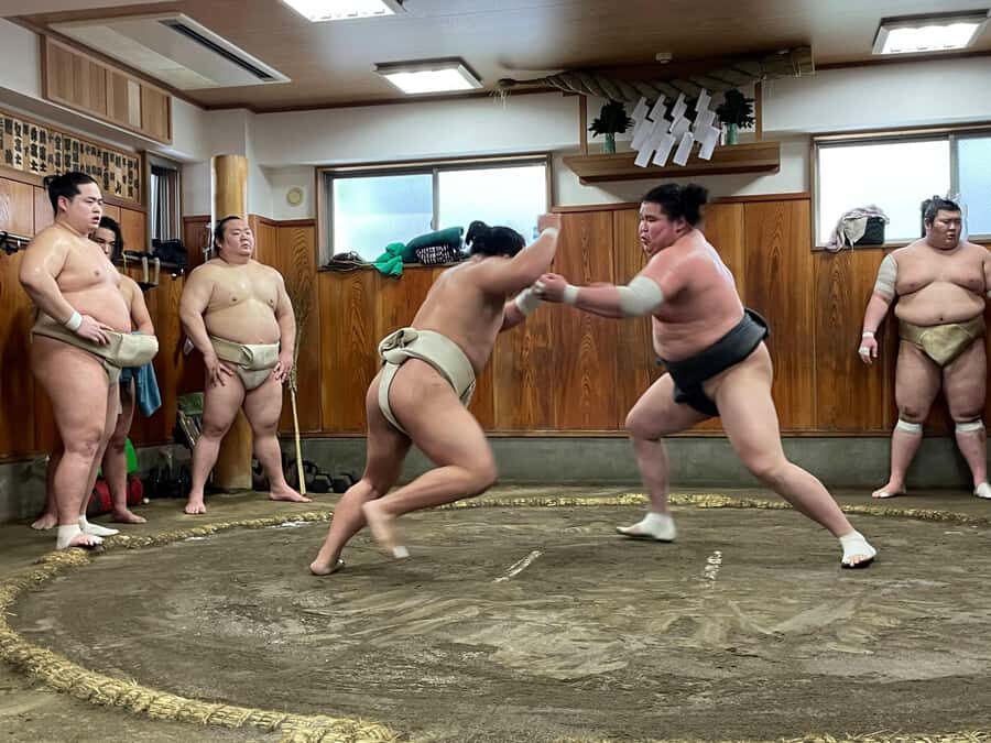 Osaka: Sumo Wrestling Real Practice Viewing Guided Tour - Detailed Breakdown of the Tour