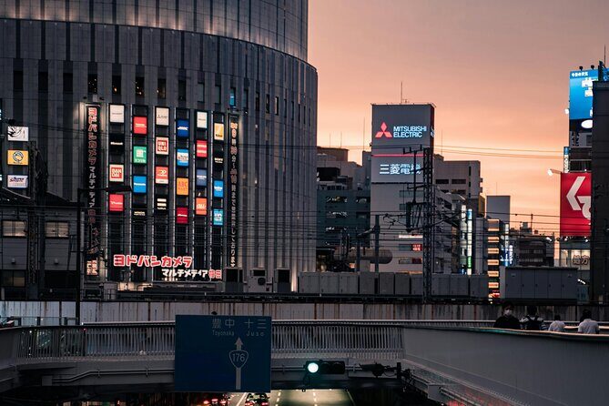 Osaka to Nara Park Private Day Trip with English Driver - The Practical Side: Transportation and Cost