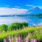 Osaka to Tokyo Multi Day Tour - Who Should Consider This Tour?