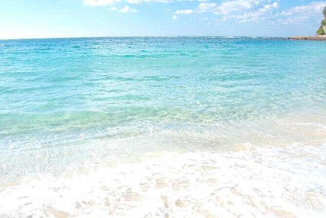 Osaka to Wakayama, Japan One-Day Chartered Tour - Final Thoughts: Is This Tour Right for You?