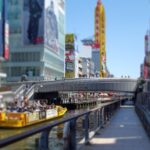 Osaka Tour with Skyscraper Shopaholic Foodie Heaven and Castle - Who Will Enjoy This Tour?