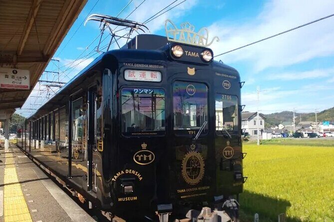 Osaka Wakayama Cat Train, Seafood market, Hot Springs Tour - FAQ