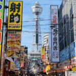 Osaka's Anime Culture and History Walking Tour with a local guide - What Sets This Tour Apart