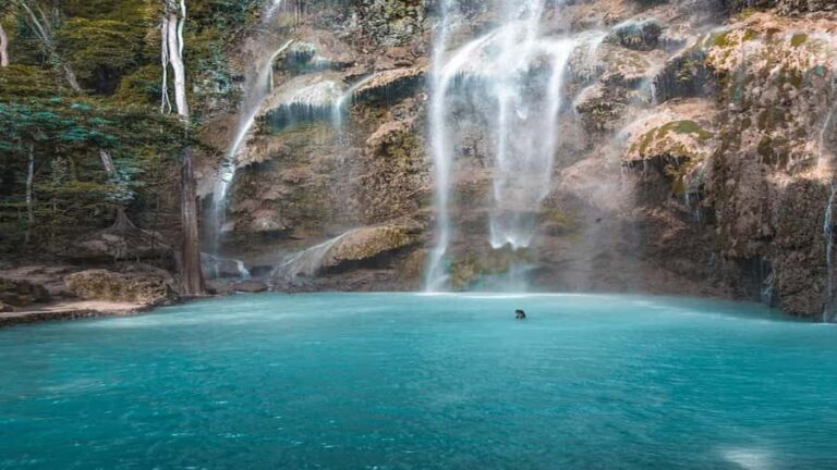 Oslob Whaleshark, TumalogFalls, Kawasan Falls, Lunch PRIVATE - What Makes This Tour Stand Out?