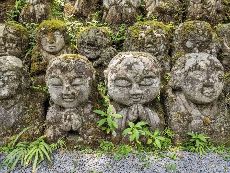 Otagi Nenbutsu-ji & Arashiyama Bamboo Forest Walking Tour - The Practicalities: What You Need to Know