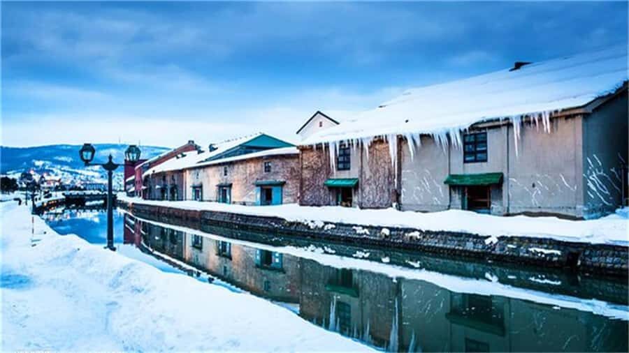 Otaru: Guided Walking Tour with Canal Custom Private Day - What Makes This Tour Valuable?