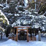 Otaru & Sapporo: Full-Day Tour with Train Ride - What Makes This Tour Stand Out?