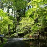 Otsu: Ishiyama-dera: Sacred Stone Temple by Lake Biwa - What You’ll See and Do