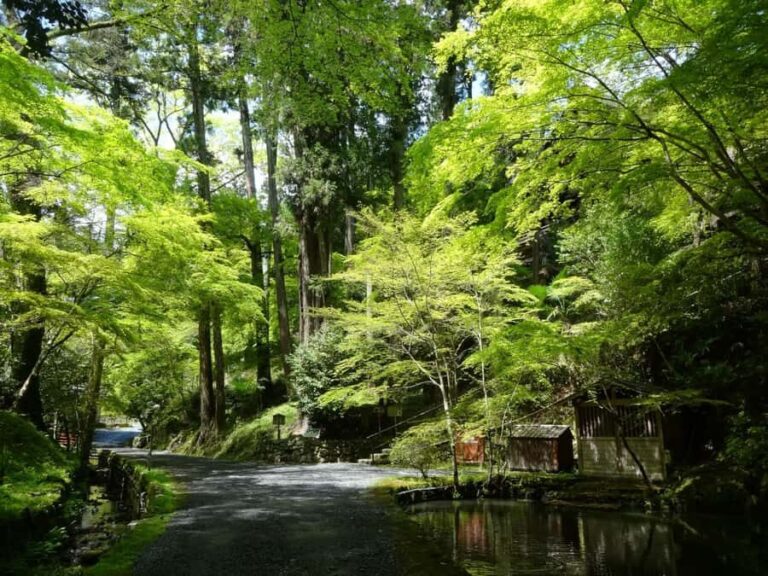 Otsu: Ishiyama-dera: Sacred Stone Temple by Lake Biwa - What You’ll See and Do