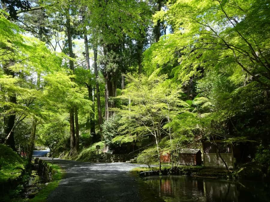 Otsu: Ishiyama-dera: Sacred Stone Temple by Lake Biwa - What You’ll See and Do