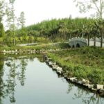 Outdoor Fun in Shanghai: Dongping Park Entry for 2-Person - Discovering Dongping National Forest Park
