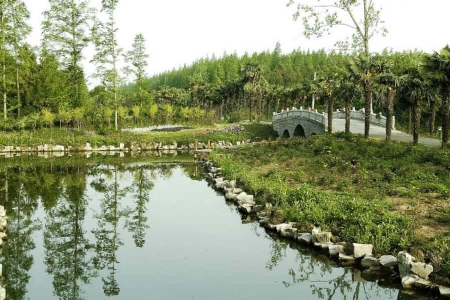 Outdoor Fun in Shanghai: Dongping Park Entry for 2-Person - Discovering Dongping National Forest Park