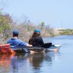 Outer Banks: Bodie Island Clear Kayak Tour - The Itinerary in Detail
