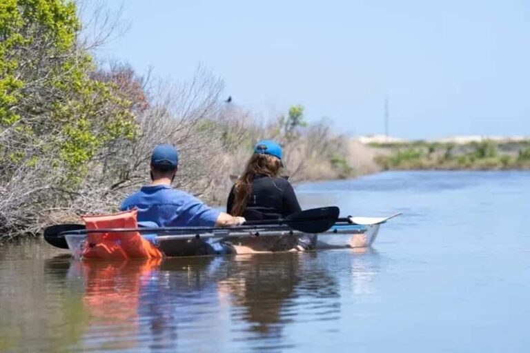 Outer Banks: Bodie Island Clear Kayak Tour - The Itinerary in Detail