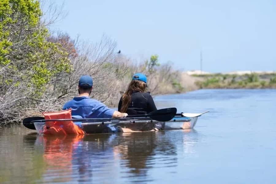 Outer Banks: Bodie Island Clear Kayak Tour - The Itinerary in Detail