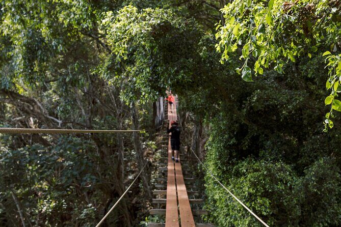 Outfitters Kauai: EXCLUSIVE Waterfall, Kayak and Zipline Safari - What Makes This Tour Stand Out