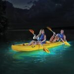 Overnight Bio Bay Kayak Tour in Vieques Island - The Value and Practicalities