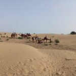 Overnight Camel Safari - What Travelers Say