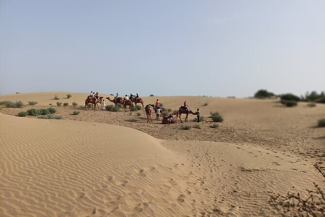 Overnight Camel Safari - What Travelers Say