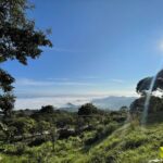 Overnight Expedition to Palenque: Waterfalls, Ruins & Jungle Stay - Day 2: From Ruins to Relaxation