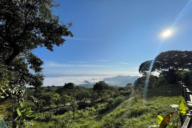 Overnight Expedition to Palenque: Waterfalls, Ruins & Jungle Stay - Day 2: From Ruins to Relaxation