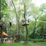 Ozo Park Ticket in Quang Binh - Why This Experience Might Be Just Right for You