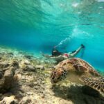 Ozzy Snorkeling 3 Islands Visit Baby Turtles - What’s Good and Not-so-Good?