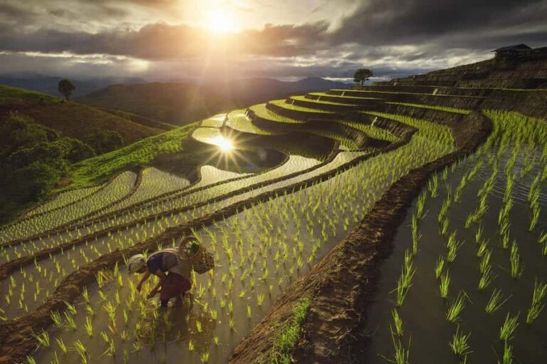 Pa Pong Piang - The Itinerary Breakdown: What to Expect