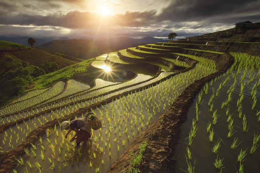 Pa Pong Piang - The Itinerary Breakdown: What to Expect