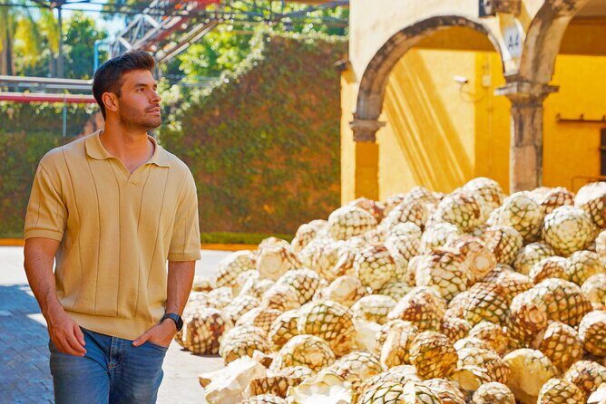 Packaged Family Reserve - Practical Tips for Visitors