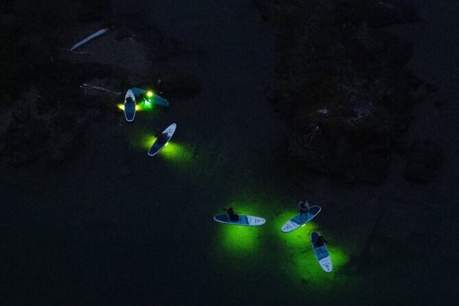Paddle Out at Dusk for Glow Night Cruise in Gordon Bay - Practical Details