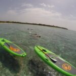 Paddleboard Rentals 3, 5 , 7 days - The Experience in Detail