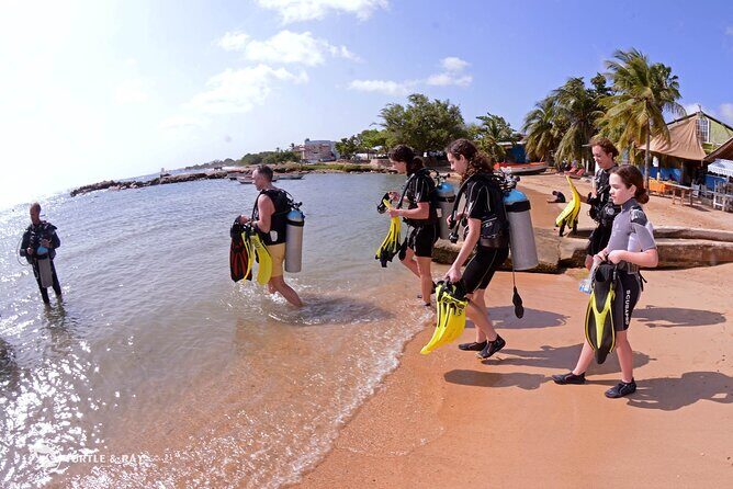 PADI Discover Scuba Dive - FAQ