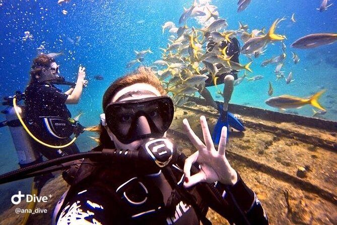 PADI / SSI Open Water Certification - Why We Think This Course Is a Great Choice