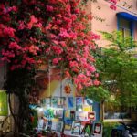 Paint & Explore: Shenzhen Dafen Oil Painting Village 3H Tour - Who Should Consider This Tour?