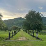 Pakse: Wat Phou World Heritage Site Full-Day Tour - The Practicalities: What to Know Before You Go