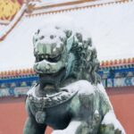 Palace Museum Entry Ticket for International Visitors - What’s Included