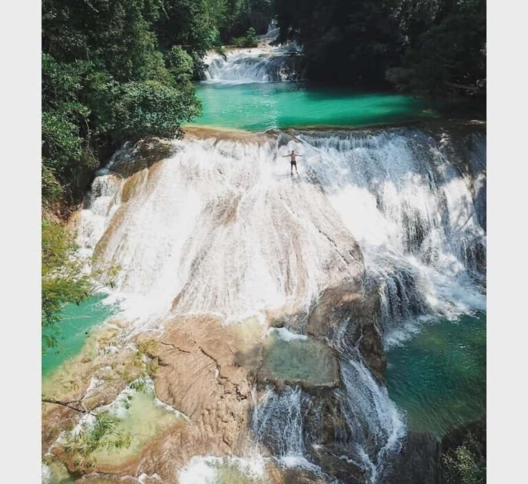 Palenque: waterfalls, buffalo, & birdwatching, a soulful immersion - Why This Tour Is a Great Value