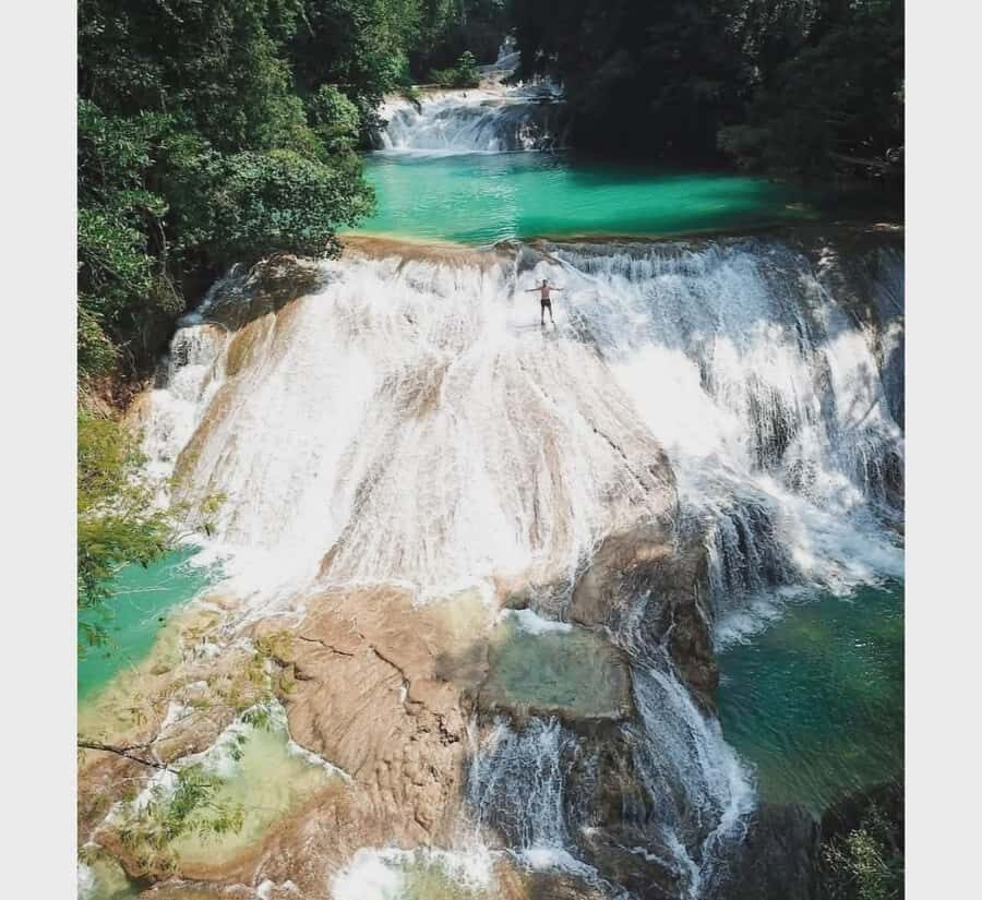 Palenque: waterfalls, buffalo, & birdwatching, a soulful immersion - Why This Tour Is a Great Value