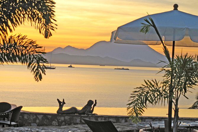 Palms Court Gardens and Restaurant Day Pass - What You Can Expect at Palms Court Gardens