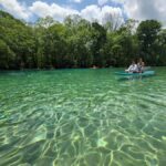 Panama City Beach: Cypress Springs Clear Kayak & Paddle Tour - Practical Details and What to Expect