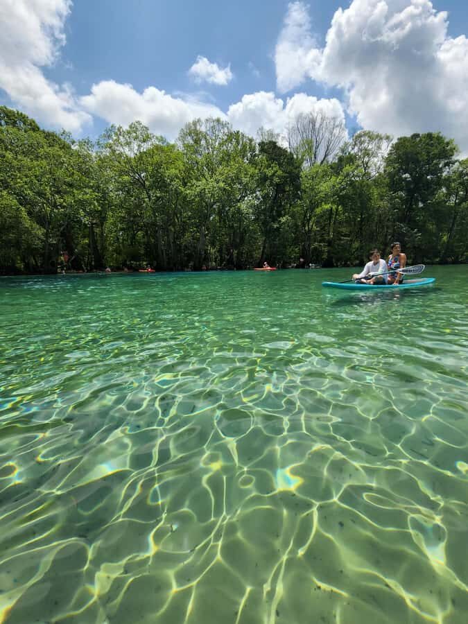 Panama City Beach: Cypress Springs Clear Kayak & Paddle Tour - Practical Details and What to Expect