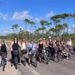 Panama City: Bike Rental with Smartphone Tour - Who Will Love This Experience?
